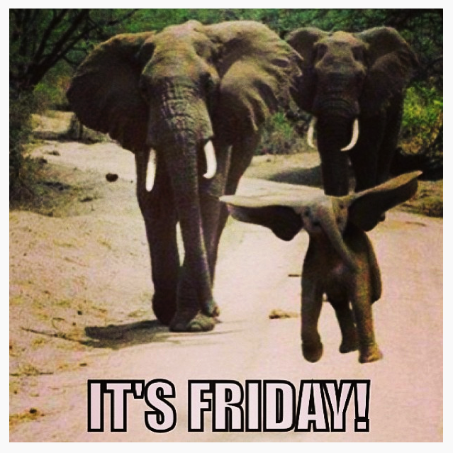 Algo Fighters: January 2014