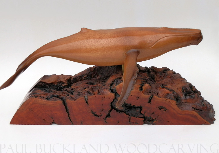 Paul Buckland Woodcarving: Humpback Whale 1