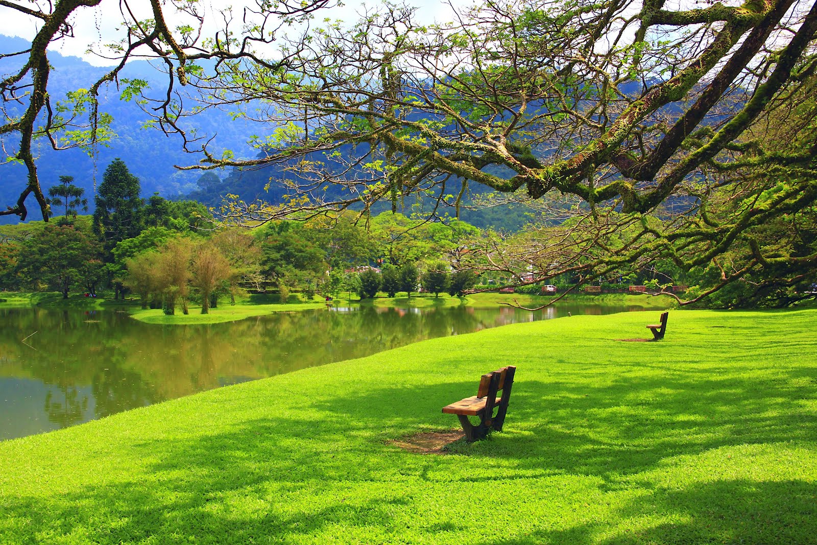 Banco de Imágenes Gratis: Un paseo por el jardín del lago en Taiping ...