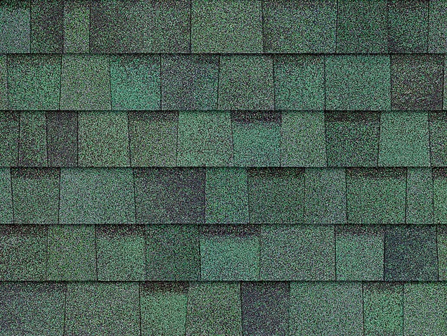 5 Things to Consider When Choosing Shingle Color