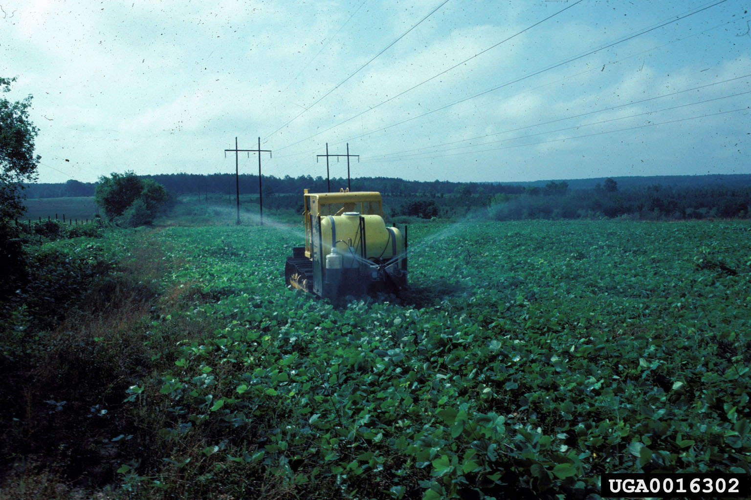 Earth and Space News: Integrated Vegetation Management of Plants in ...