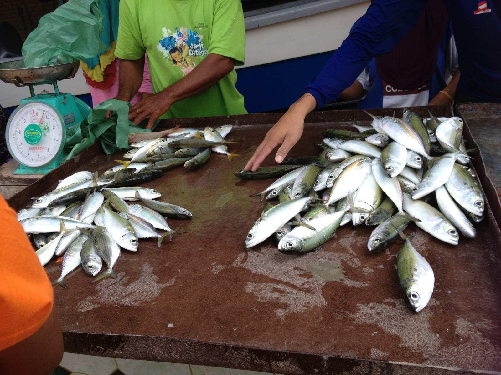 Ikan Segar dari Laut China Selatan