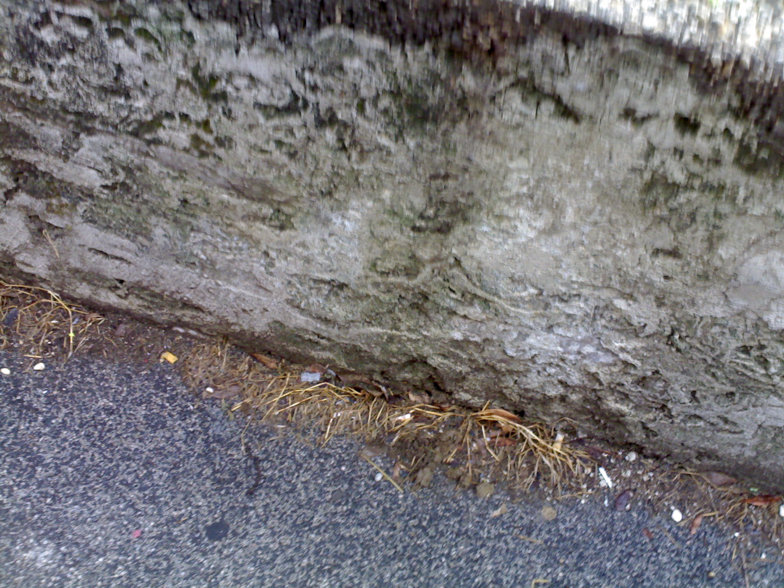 ROMA FA SCHIFO: Il quartiere Appio Latino potrebbe essere un posto ...