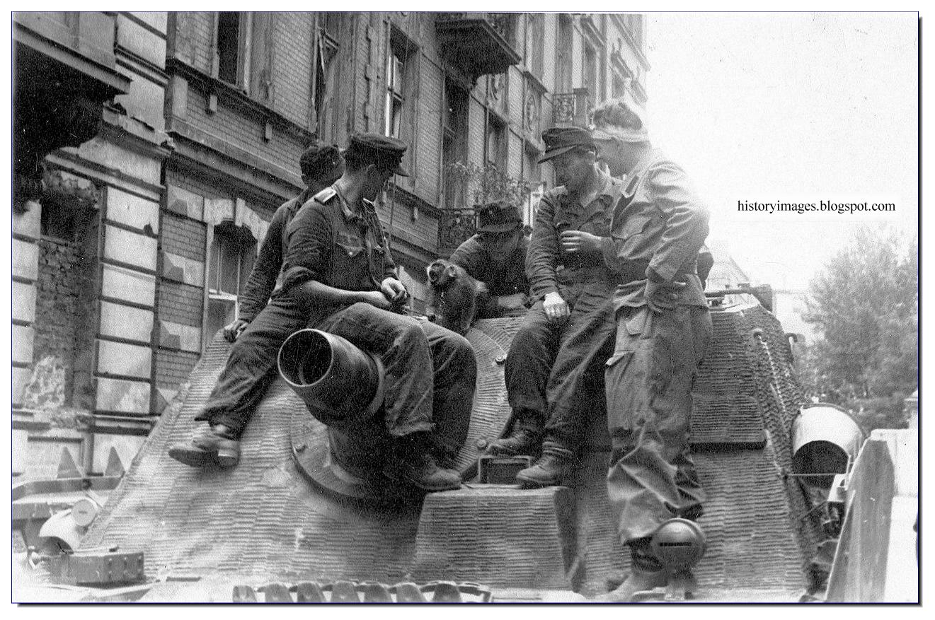 HISTORY IN IMAGES: Pictures Of War, History , WW2: Downfall: The ...