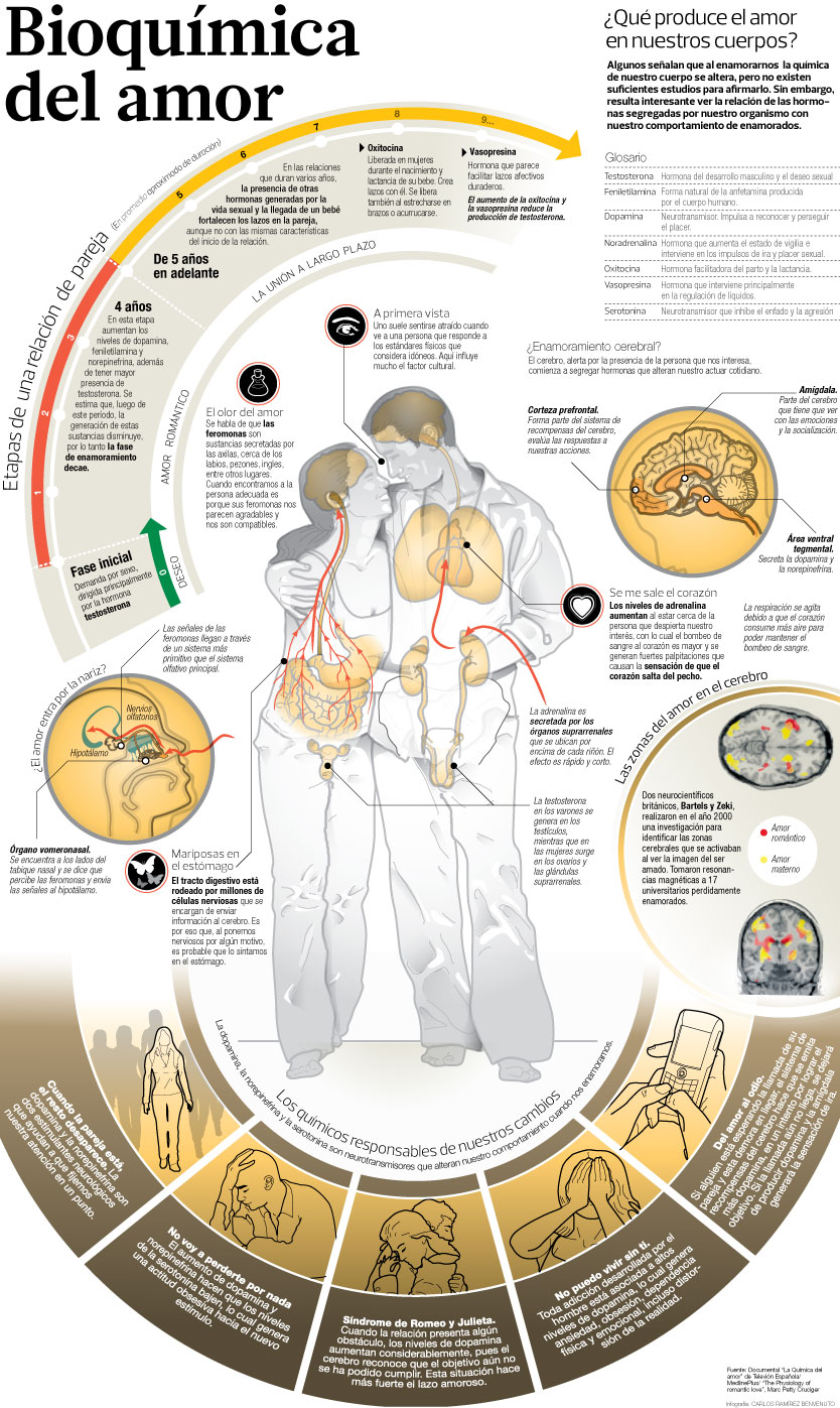 La Combi Visual: El cerebro, cómplice de los enamorados