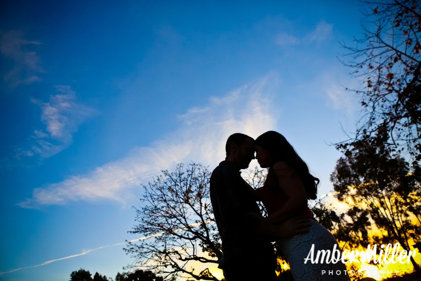 Amber Miller Photography