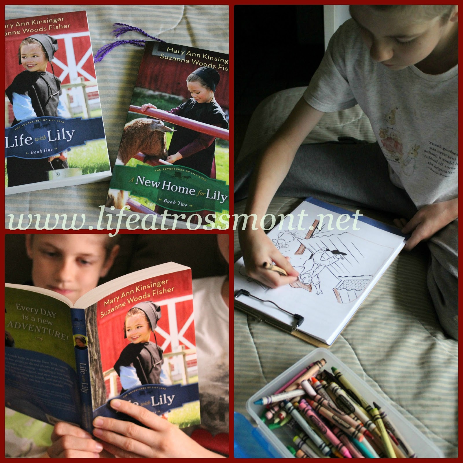 Life at Rossmont: Baker Publishing Group--Lily Lapp books {Schoolhouse ...