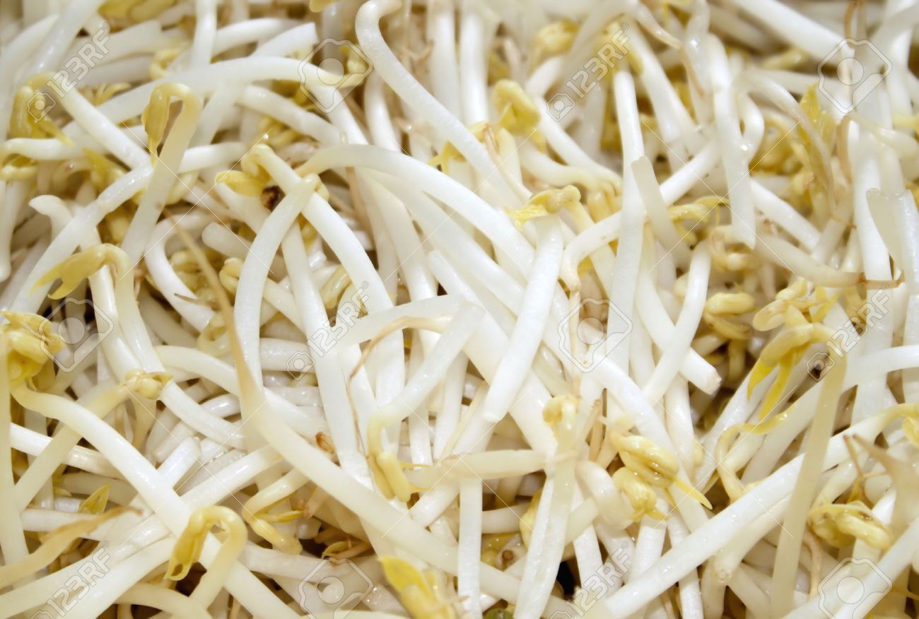 GASTRONOMÍA DE CHINA ~ MUNDO ASIÁTICO