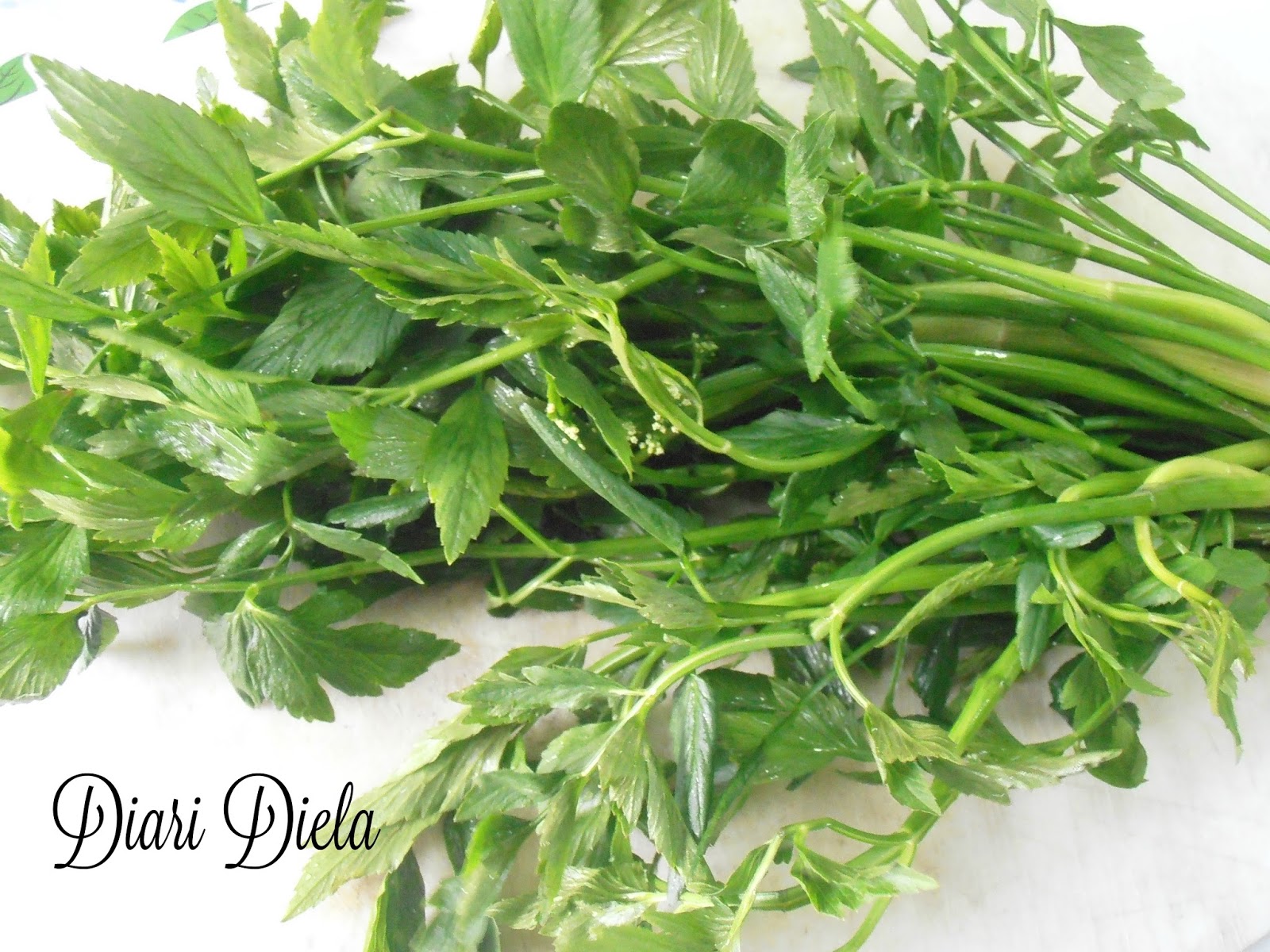 DIARI DIELA: Kerabu Daun Selom