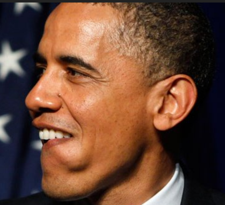 Christine Holzschuh - Figuratively Speaking: Figuratively Speaking ...