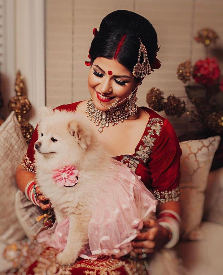 Beautiful Bride Photo shoot With Dogs/Indian Brides With Their Lovely ...