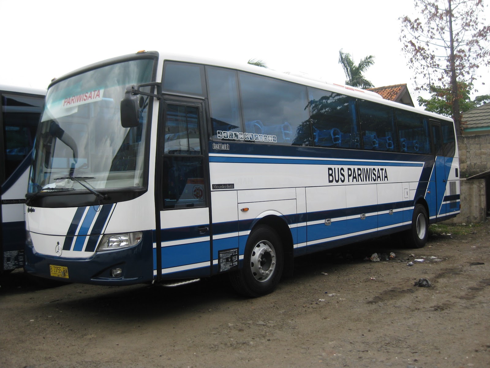 Bus pariwisata