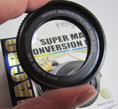 Gisel Simon Photography Blog: Raynox DCR-250 2.5x Super Macro ...