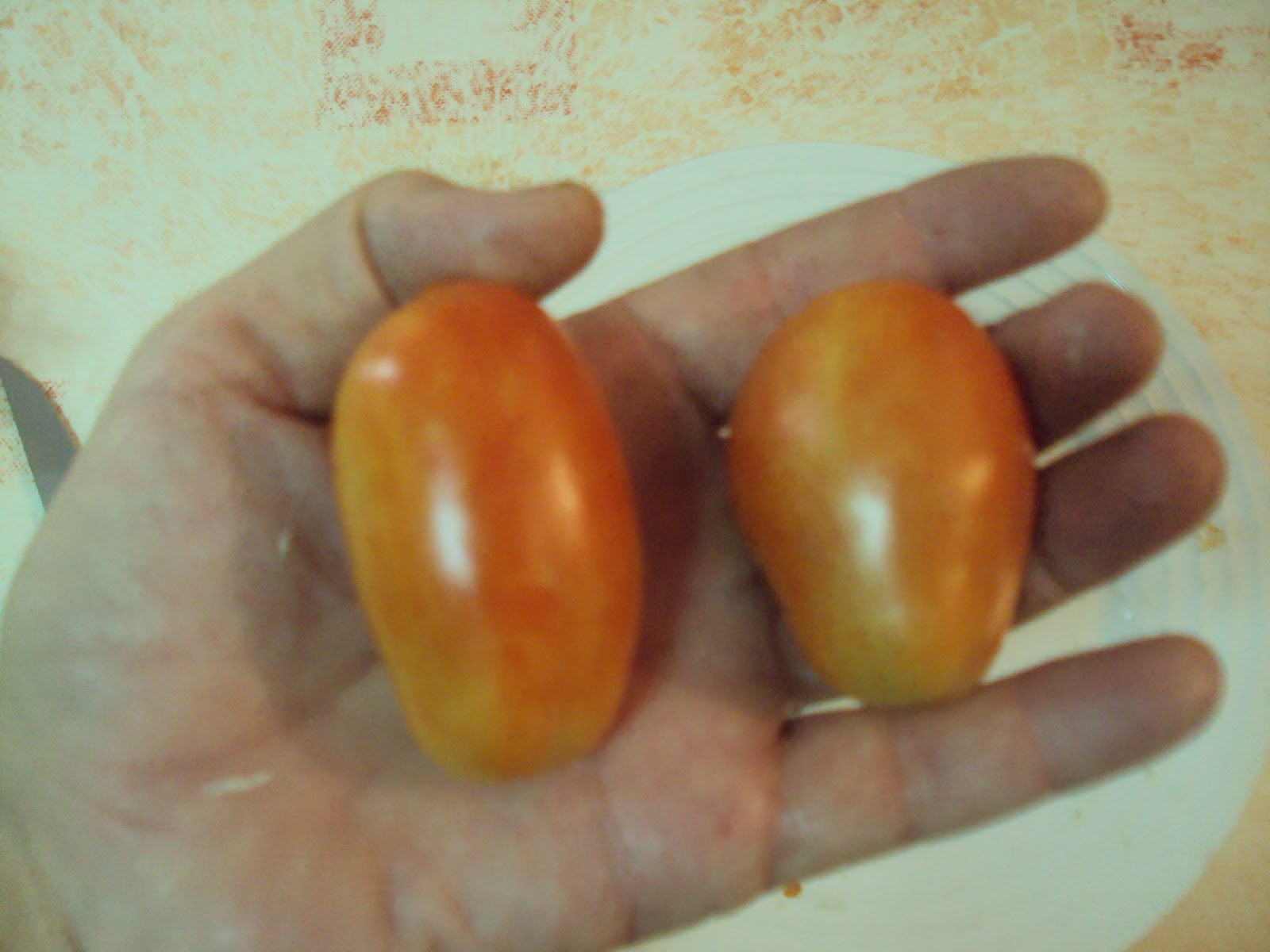 septiembre 2013 | En torno al huerto.