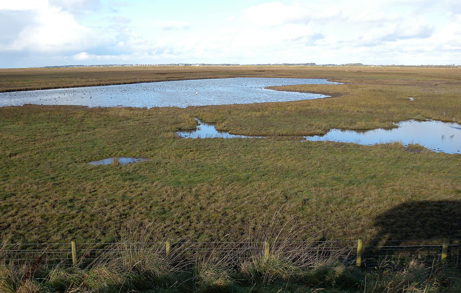 Jim's Birding: Hesketh Out Marsh and Marshside RSPB Reserves