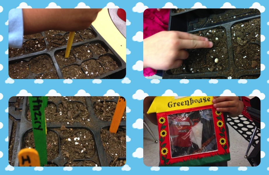 Plants and Preparing for Earth Day | Time 4 Kindergarten