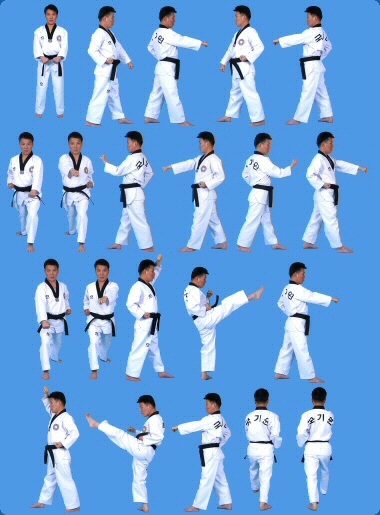 Associação Kenio Taekwondo Apucarana: Poomsae: Taegeuk Il (1) Jang