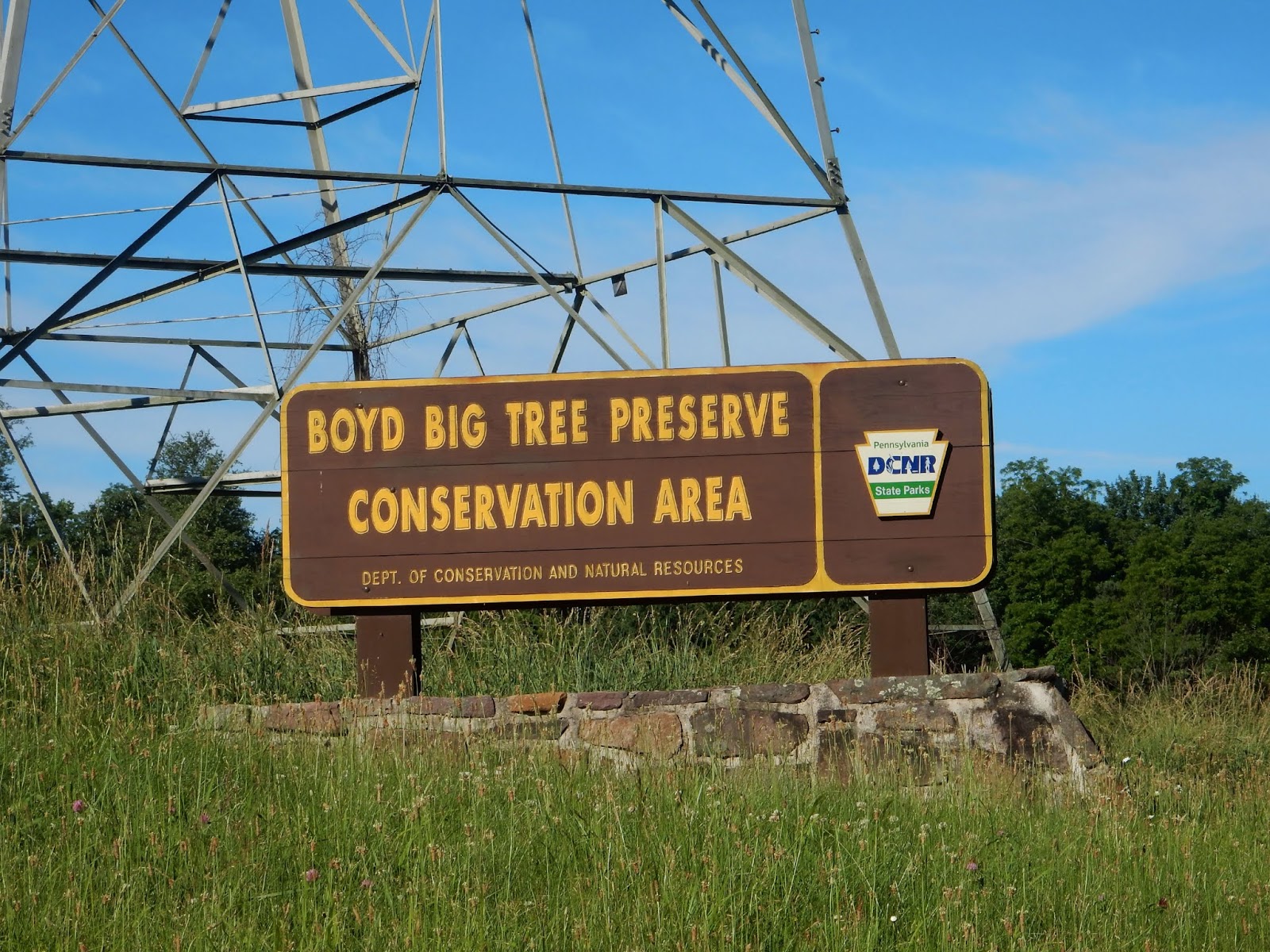 Natural Mid-Atlantic : PA Boyd Big Tree Preserve Conservation Area