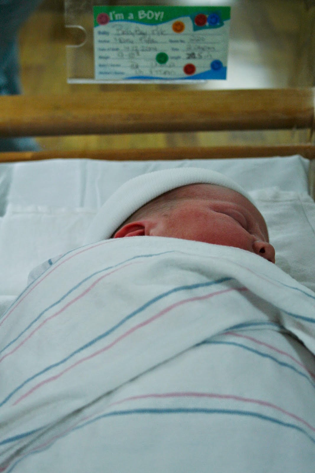 Coop and Co. : Birth Photography