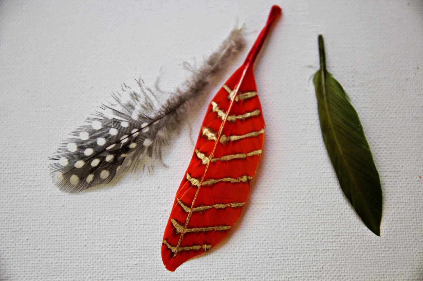 This, too: PEICD (PROJECTS EVEN I CAN DO): FEATHER NECKLACE