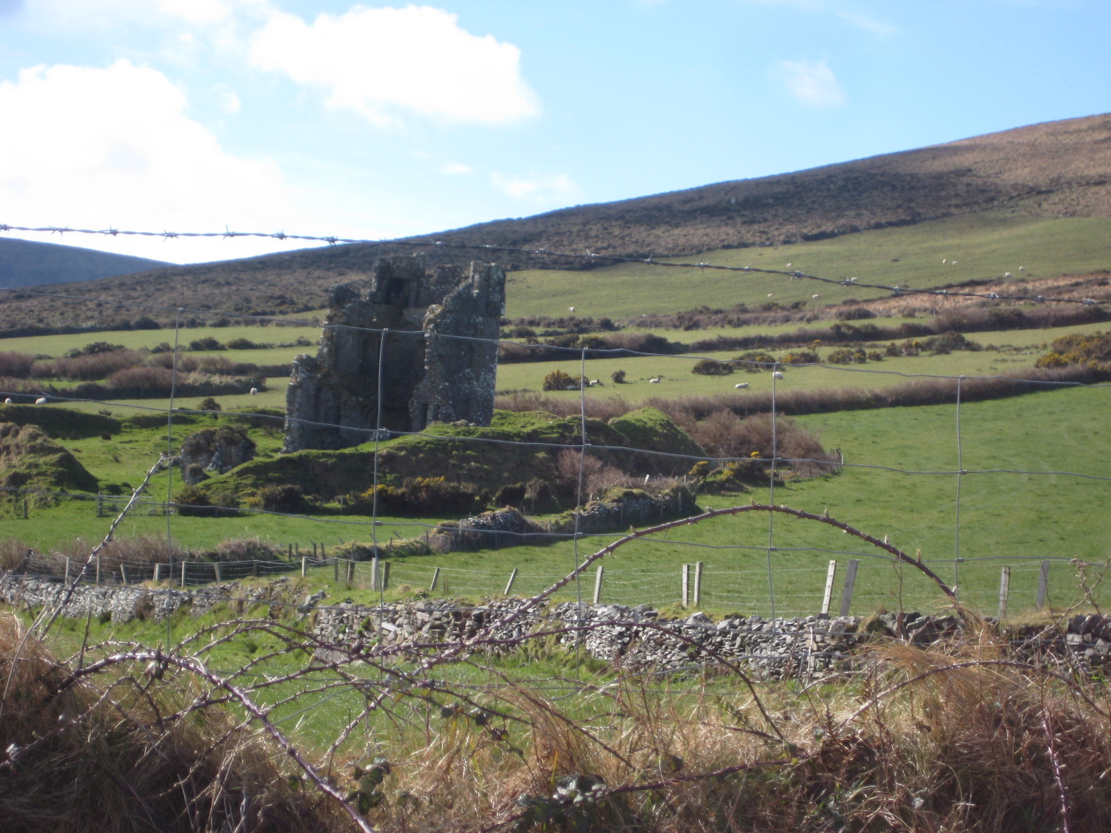 HOLIDAYS in IRELAND: Irish chauffeurdriven vacations with own guide and ...