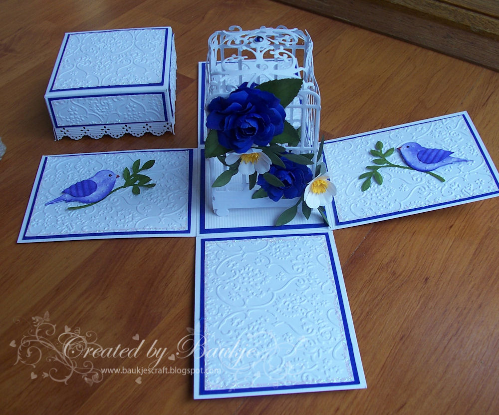 Baukje's Cards and Crafts: Exploding Box