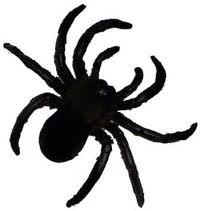 Tata Tazza...con la testa che svolazza: Whisky il ragnetto