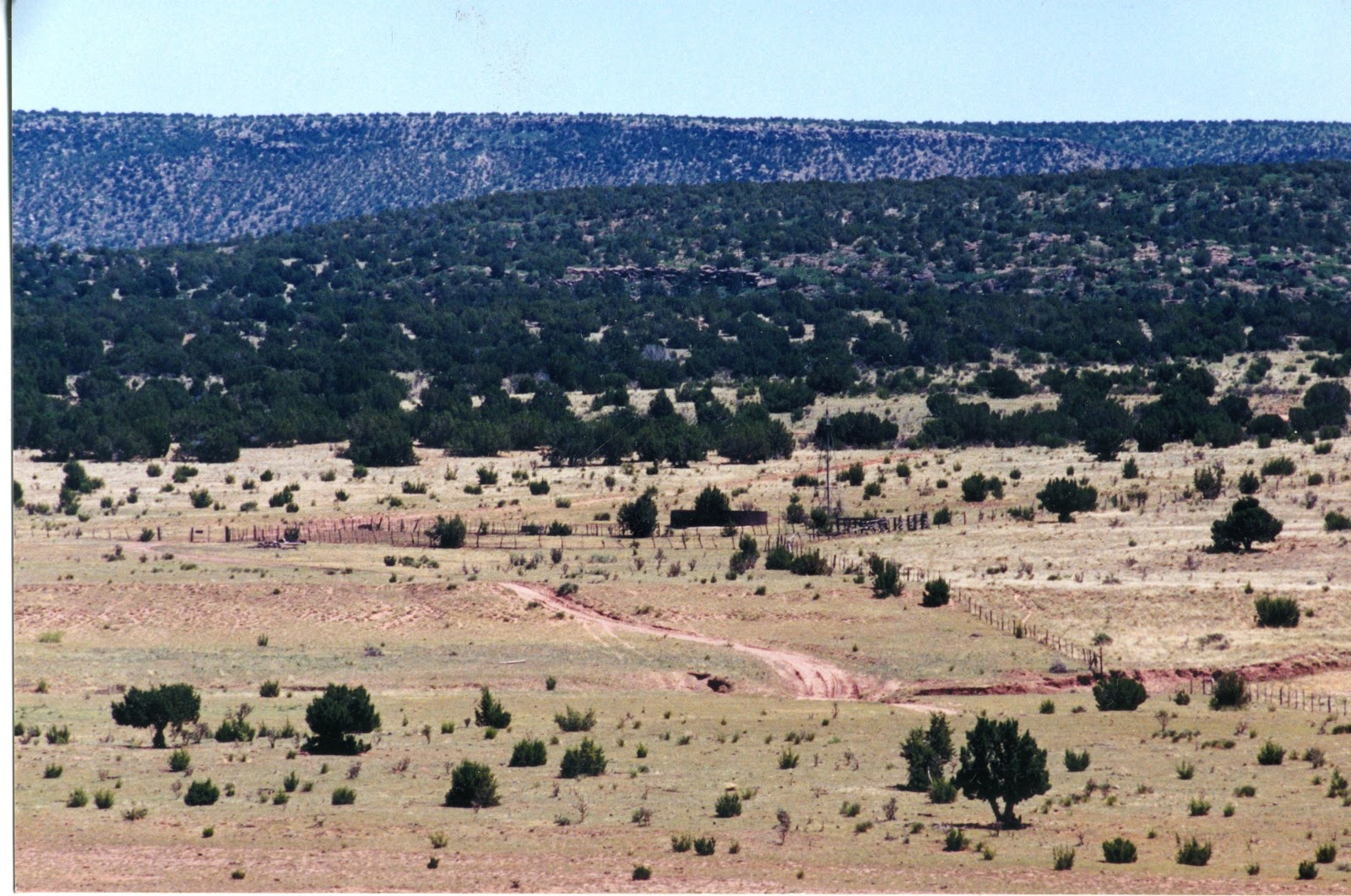 The Zees Go West: Photos from The Pintada Kid