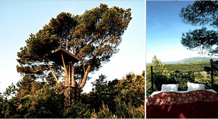 Extremely distinct expensive tree houses - twenty ranking