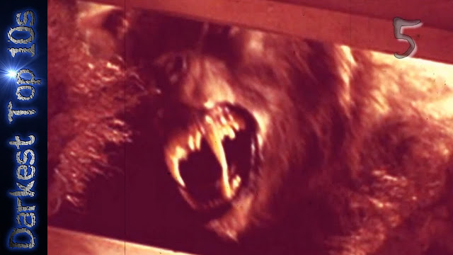 Top 10 True Real Life Scary Stories That Will Make You Uneasy