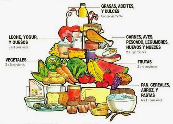 Tipos de dietas: diapositivas tipos de dietas