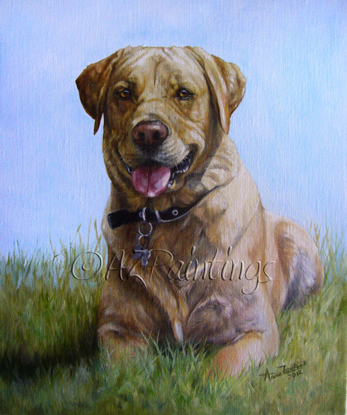 AZPAINTINGS Labrador Retriever Oil Painting Commission azpaintings-labrador-retriever-oil-painting-commission