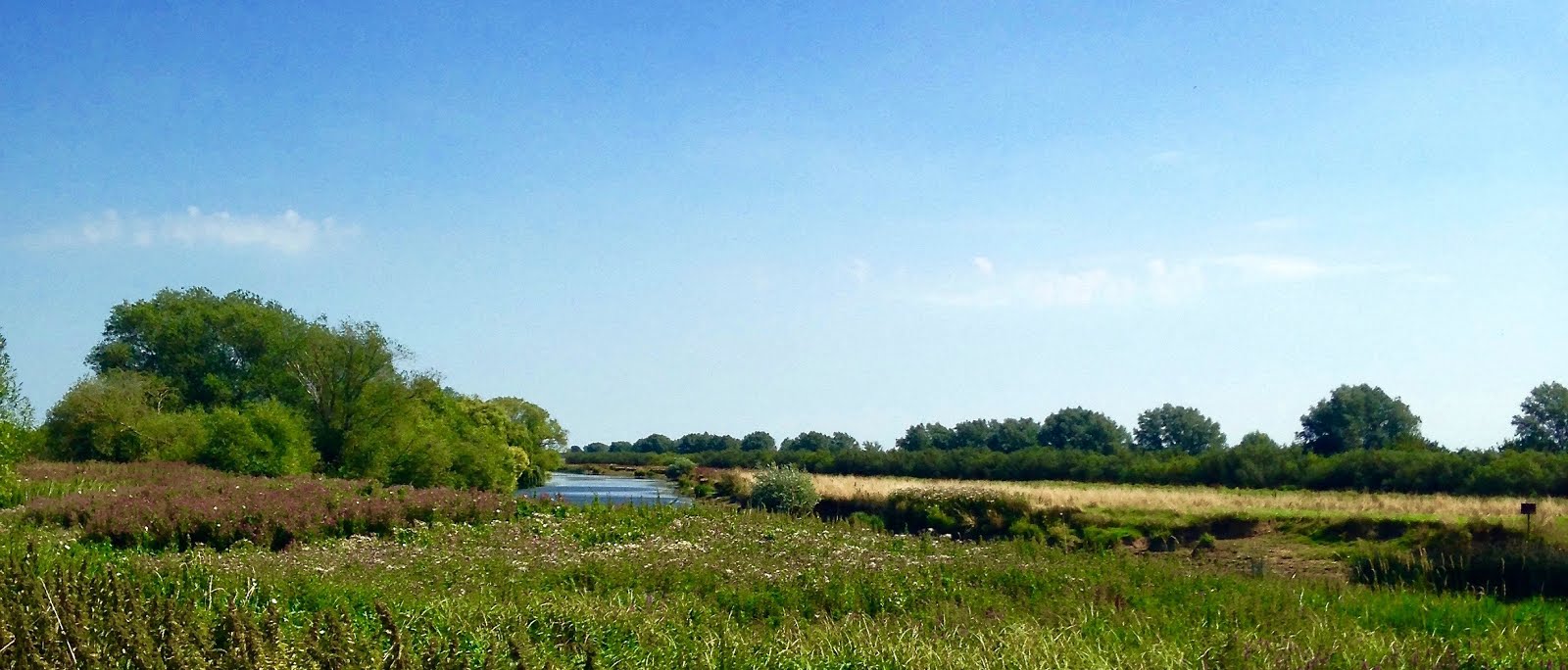 Cambridgeshire walks: Bluntisham to Earith circular walk