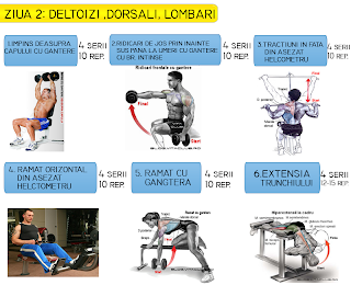 Sala de forta - exercitii , programe , alimentatie: Antrenament sala