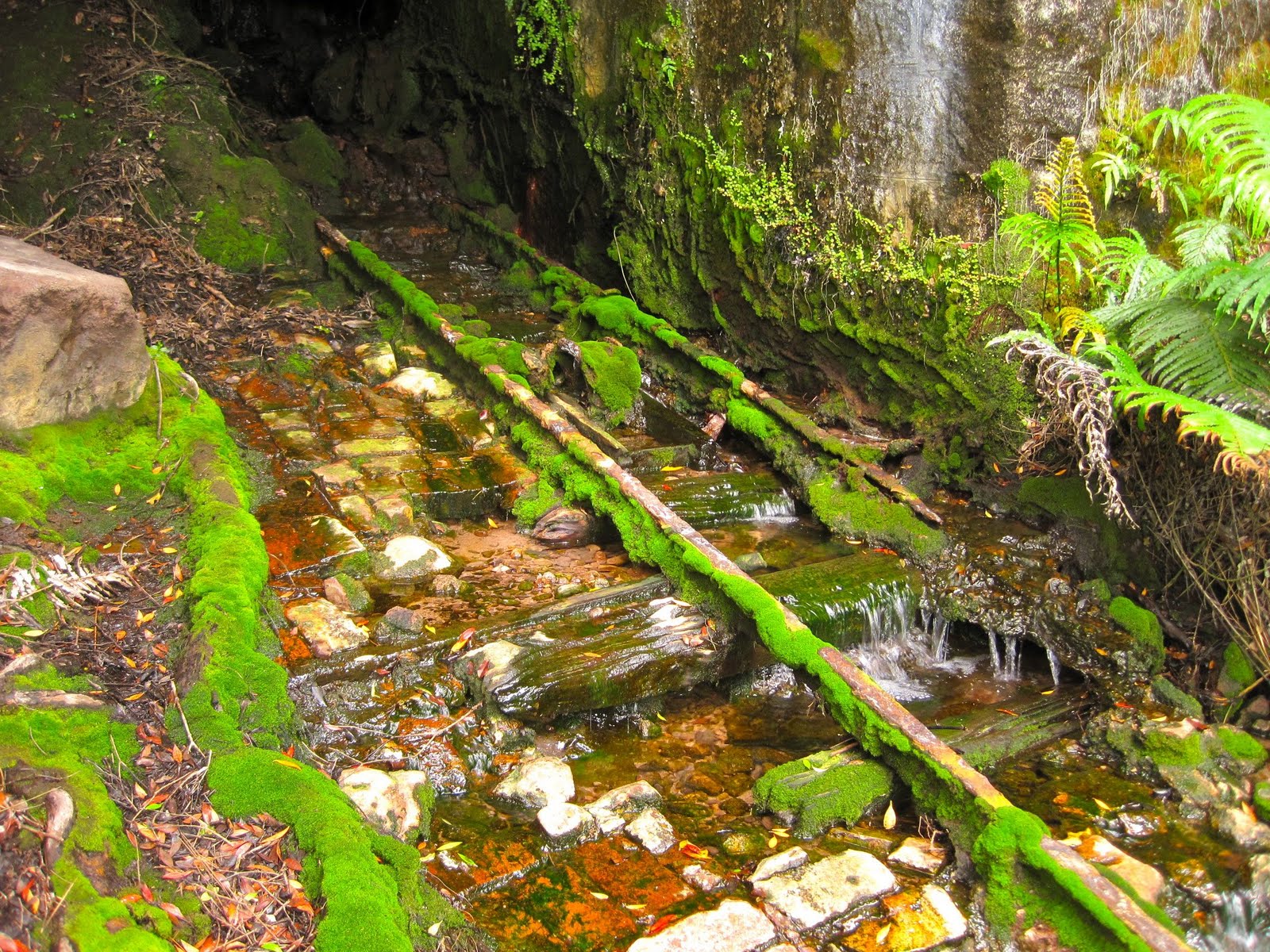 Carolyn in Aotearoa: The Mines of Millerton (Yes, Millerton, not Moria)