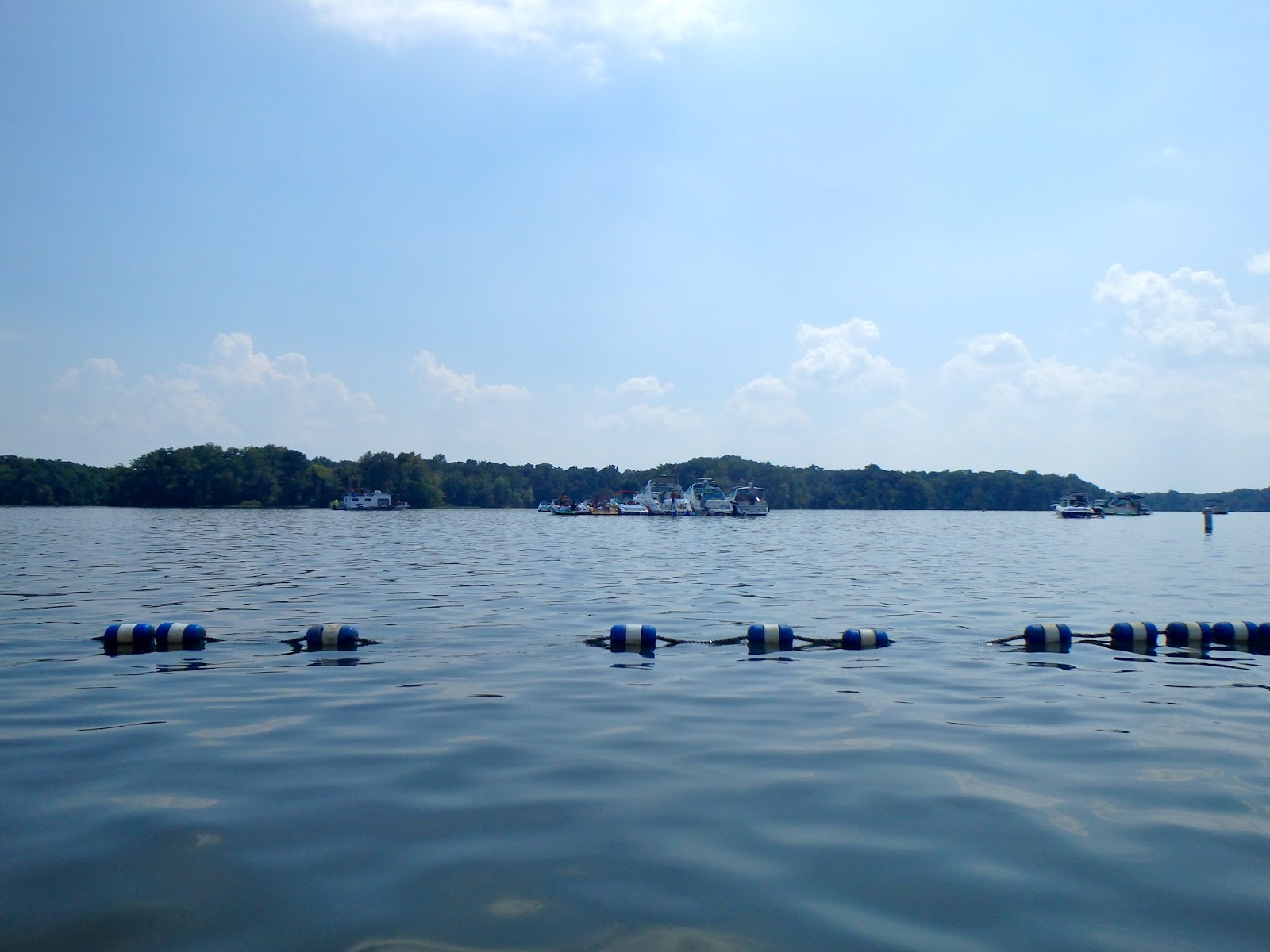 grass stains: A day at Point Mallard