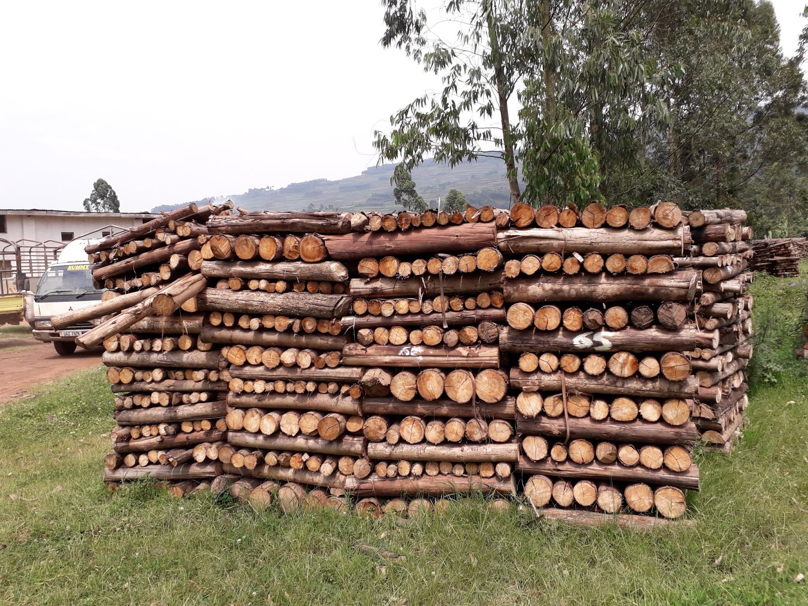 Matt Kadavy In Uganda: 2019