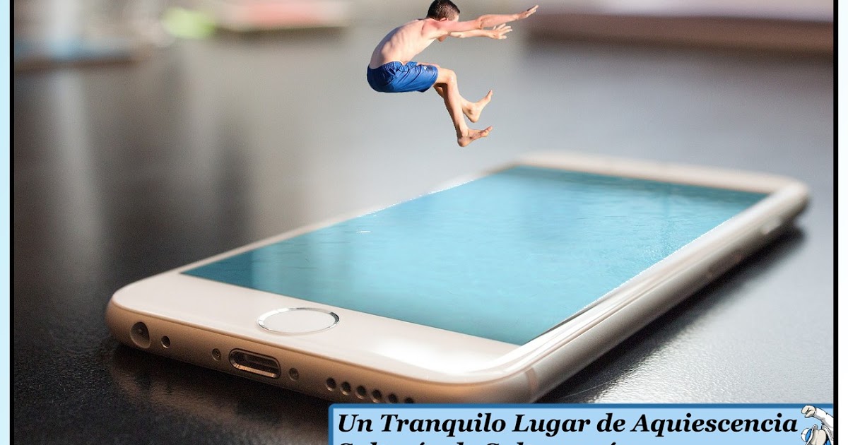 Saltarín de Saltarascón ~ Un Tranquilo Lugar de Aquiescencia