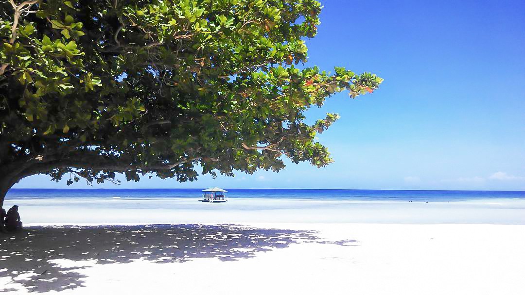 Anda via Chocolate Hills Tour ~ Bohol Island Tour - WoW Bohol Package ...