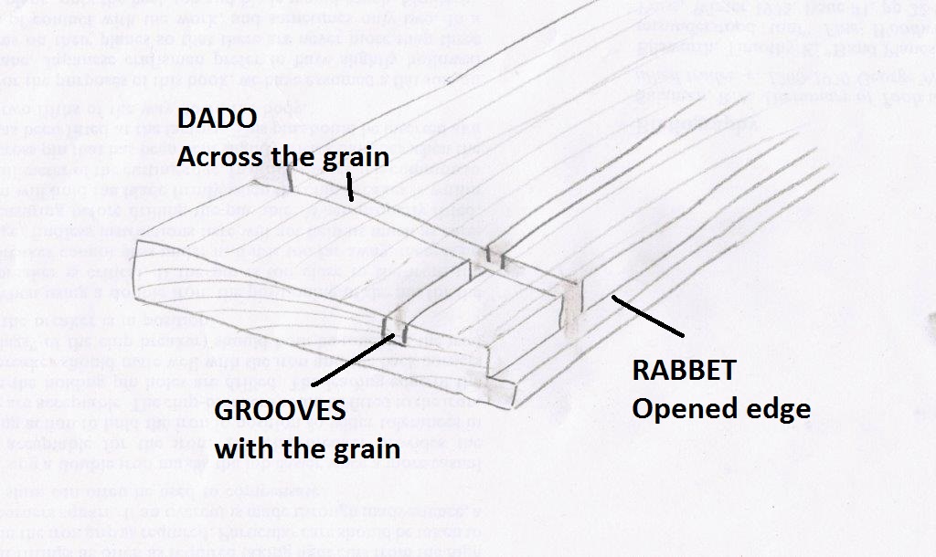 The Valley Woodworker: On our way to a convoluted evolution...