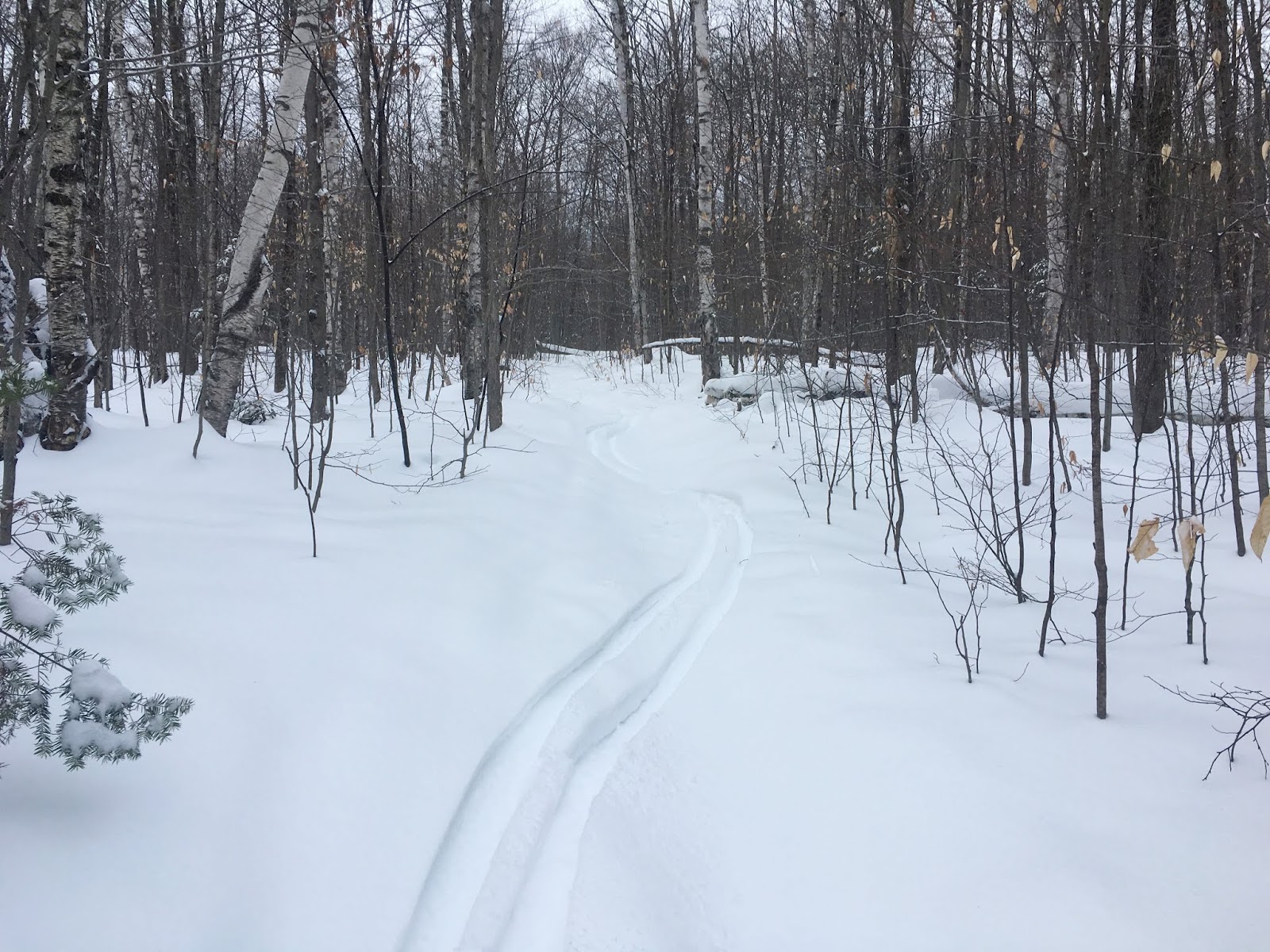 Skiglisse: La Whizzard du sud