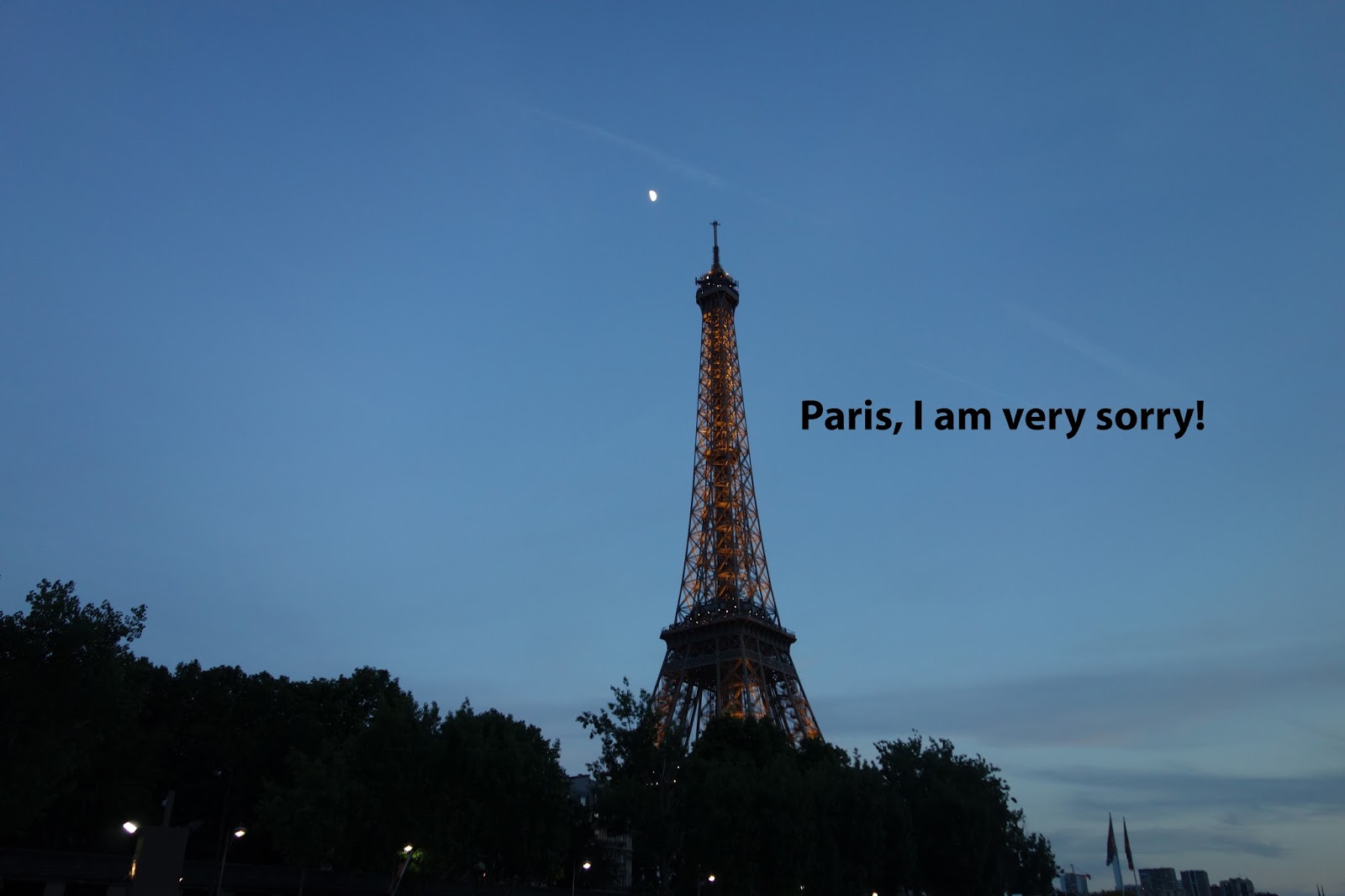 TRAVELS (and more) WITH CECILIA BRAINARD: Paris, I Am Very Sorry! # ...