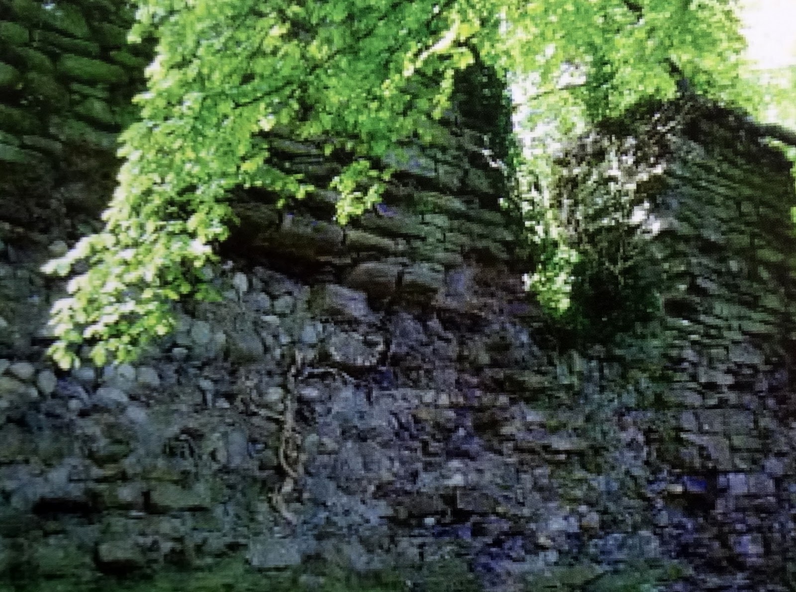 Tour Scotland: Tour Scotland Photograph Kinclaven Castle