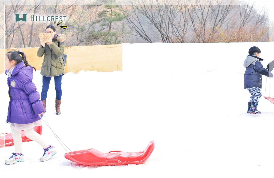 Enjoy Winter and Master Daegu Ice Skating & Sledding