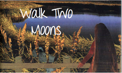 Walk Two Moons: Chapters 34-40