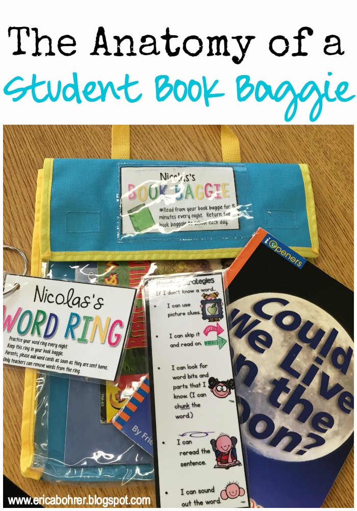 The Anatomy of a Book Baggie | Erica's Ed-Ventures | Bloglovin’
