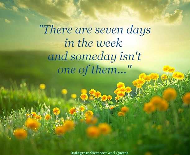 · Letters from Port Transience ·: · Inspirational quotes