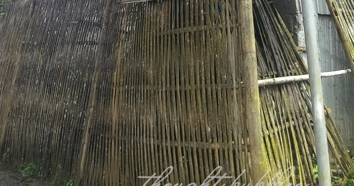 Thought Bubbles: Glamping at BLOC Camp Site