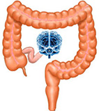 Le Cerveau de l'Enfant et de l'Adolescent: L'Importance du Rire