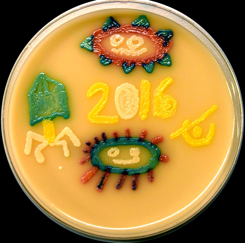 Medical Laboratory and Biomedical Science: Happy New Year 2016